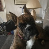 Final inspection, fannie form 1004D vs HUD form 92051 | AppraisersForum.com